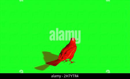3d illustration - Bird Sparrow Is idle and Flying on Green Screen Stock ...