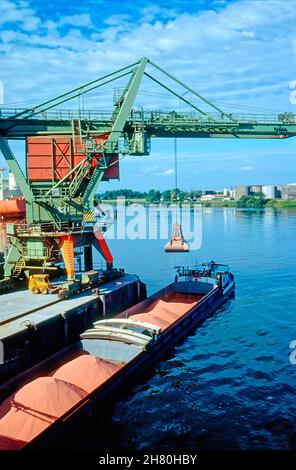 Grain loading in hold of bulk carrier ship with elevator crane closeup ...