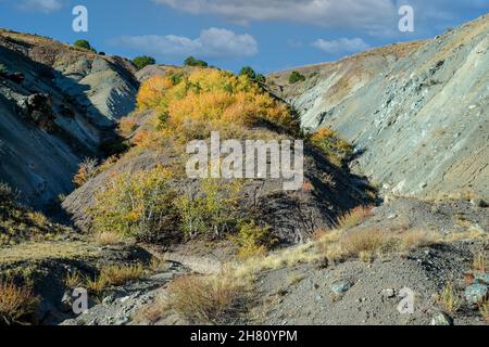 Vegetation Protects The Soil From Erosion Stock Photo Alamy
