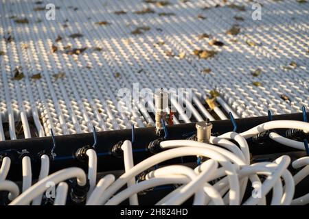 Urban ice rink piping system. Preparation of icy surface for winter ...