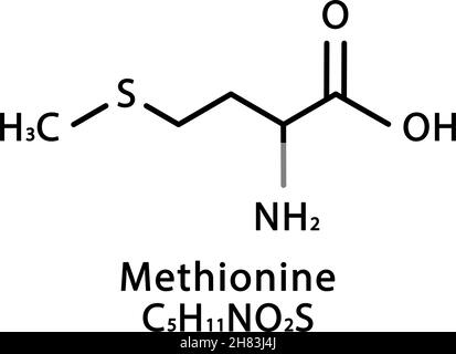 Methionine l- methionine, Met , M essential amino acid molecule ...