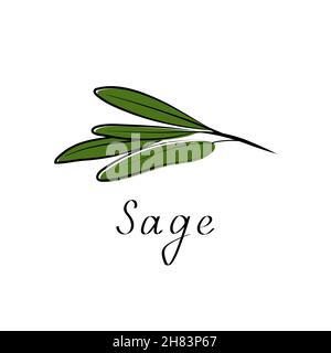 Sage Leaves Icon Vector Logo Template Illustration Design. Vector EPS ...