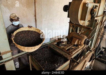 ANGOLA Calulo, coffee producer cooperative, raw coffee processing unit ...