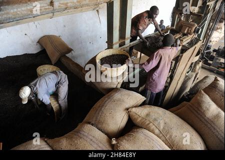 ANGOLA Calulo, coffee producer cooperative, raw coffee processing unit ...