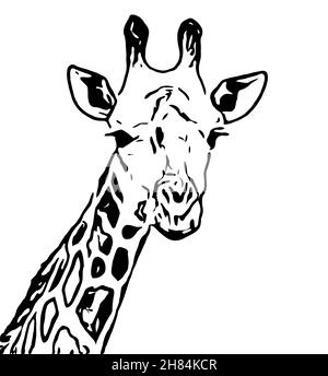 Cute safari wild giraffe animal border for babies room decor. Seamless ...