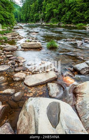 The Westfield River running through the Chesterfield Gorge in ...