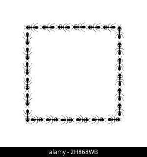 Black ants square border. Ants forming rectangular shape isolated in white background. Vector ...