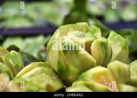 A Hog plum tree, Spondias mombin, also known as a Yellow Mombin ...