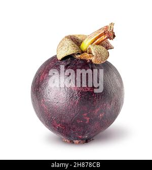 mangosteen isolate on white background Stock Photo - Alamy