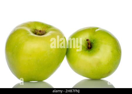 Two green apple by Renet Simirenko, close-up, isolated on black Stock ...