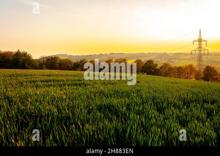 Beautiful and peaceful field with electrical transmitters during sunny ...
