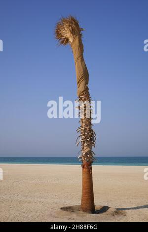 The refurbished Bilaj al Jazayer beach, Kingdom of Bahrain Stock Photo ...