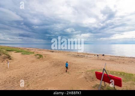 Halmstad: Laholmsbukten (Laholm Bay) at Kattegat sea area, beach, sand ...
