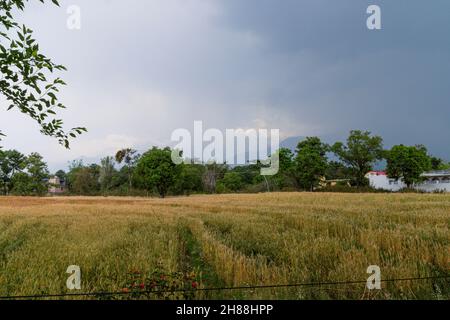 Various views of Palampur, Himachal Stock Photo - Alamy