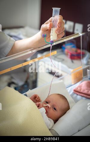 Enteral feeding premature newborn baby with tube-feeding, Obstetrics ...