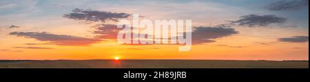 A beautiful view of wheat field under cloudy sky during sunset in ...