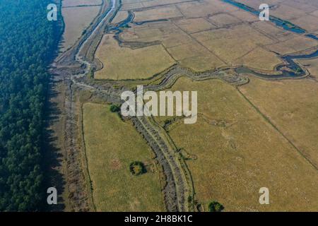 Agricultural land damages by salt water at Dhal Chhar in Bhola ...