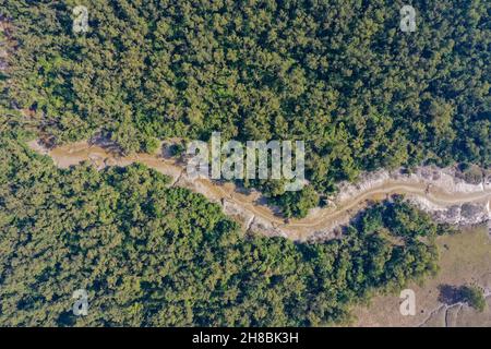 Coastal mangrove forest at Dhal Chhar. Dhal Char is one of the numerous ...