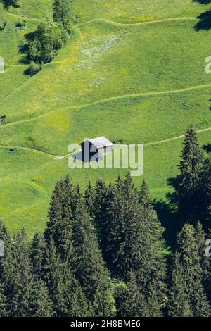 Wooden mountain hut on steep slope in Kaprun, Austrian Alps. Lush green ...