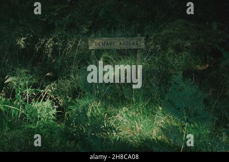 Danger sign warning of adders in Seascale, Cumbria Stock Photo - Alamy