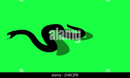 3d illustration - silhouette Python Snake With Green Screen Background ...