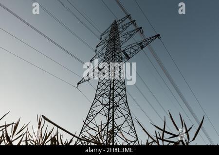 Orange pylon and steel cables of the suspension bridge, detail, Golden ...