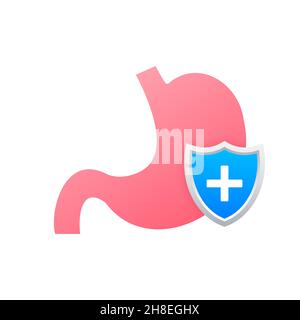 Stomach protection, Healthy protected intestine. Digestive system ...
