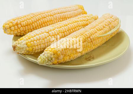 Frozen corn cobs on a porcelain plate with the white background Stock ...