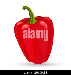 Sweet pepper icon. Flat illustration of sweet pepper vector icon for ...