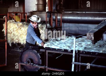 Uxmal, Mexico. 12/28/1985. Henequen process used for binding material ...