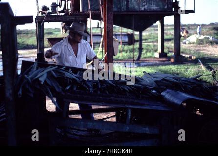 Uxmal, Mexico. 12/28/1985. Henequen process used for binding material ...