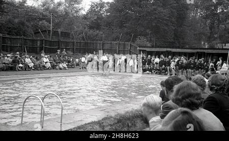 1950s, historical, schoolboys at an outdoor swimming pool taking part ...