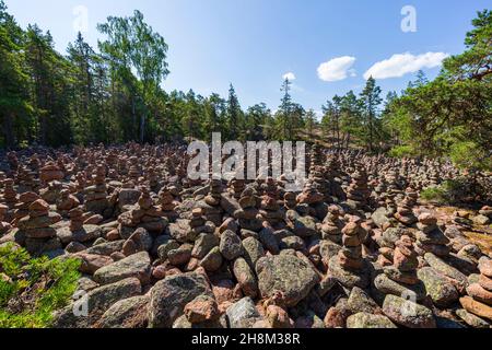 Forest full of rock formations, myriad piles of stones, along the ...