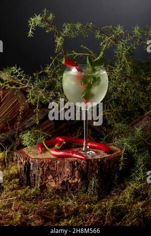 Gin and Tonic cocktail with red pepper and coriander. An iced ...