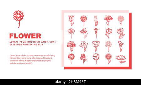 Flower Natural Aromatic Plant Landing Web Page Header Banner Template ...