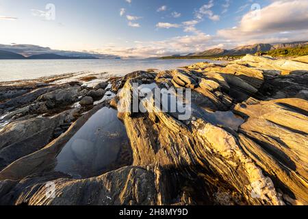 Coast near Lattervik, Lyngen Alps, Ullsfjord, Troms og Finnmark, Norway ...