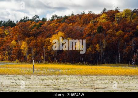 Onaping Area Mines/Mill Tailings Management System- Strathcona Tailings ...