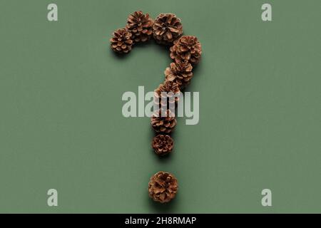 Question mark made of pine cones on green background Stock Photo - Alamy