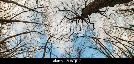 Art, abstract and artistic fisheye lens perspective view of fantasy ...