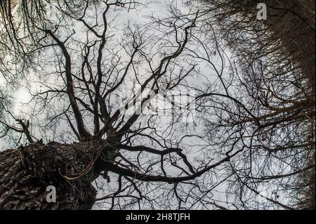 Art, abstract and artistic fisheye lens perspective view of fantasy ...
