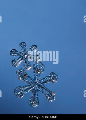 A winter pattern of snowflakes on a transparent background Stock Photo ...