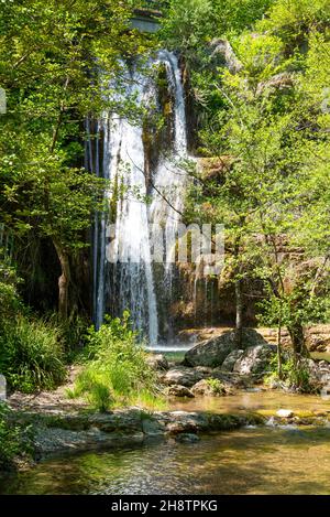 Beautiful waterfall in forest among trees Stock Photo - Alamy