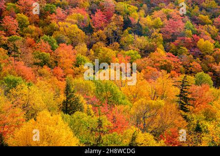 Highway 16 and autumn foliage, Highway 16 near Pinkham Notch, New ...
