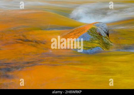 Autumn foliage reflections in the Swift River, Kankamagus Highway, New Hampshire, USA Stock ...