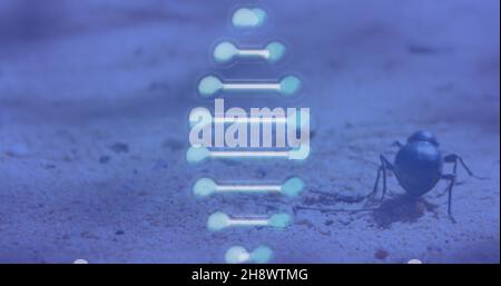 Image of dna strand spinning over world map Stock Photo - Alamy