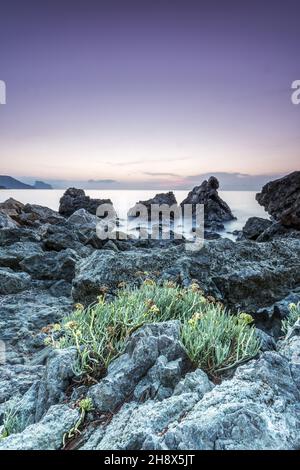 Sunset on the beach with breakwater, long time exposure Stock Photo - Alamy