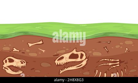 Archeology bones in soil layers. Buried fossil animals, dinosaur ...