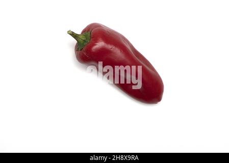colored snack bell pepper pod in orange isolated on white background ...