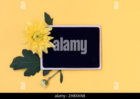 Flay lay minimal mockup or template with blank white paper card ...