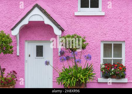 Pink house in Timoleague, County Cork, Ireland Stock Photo - Alamy